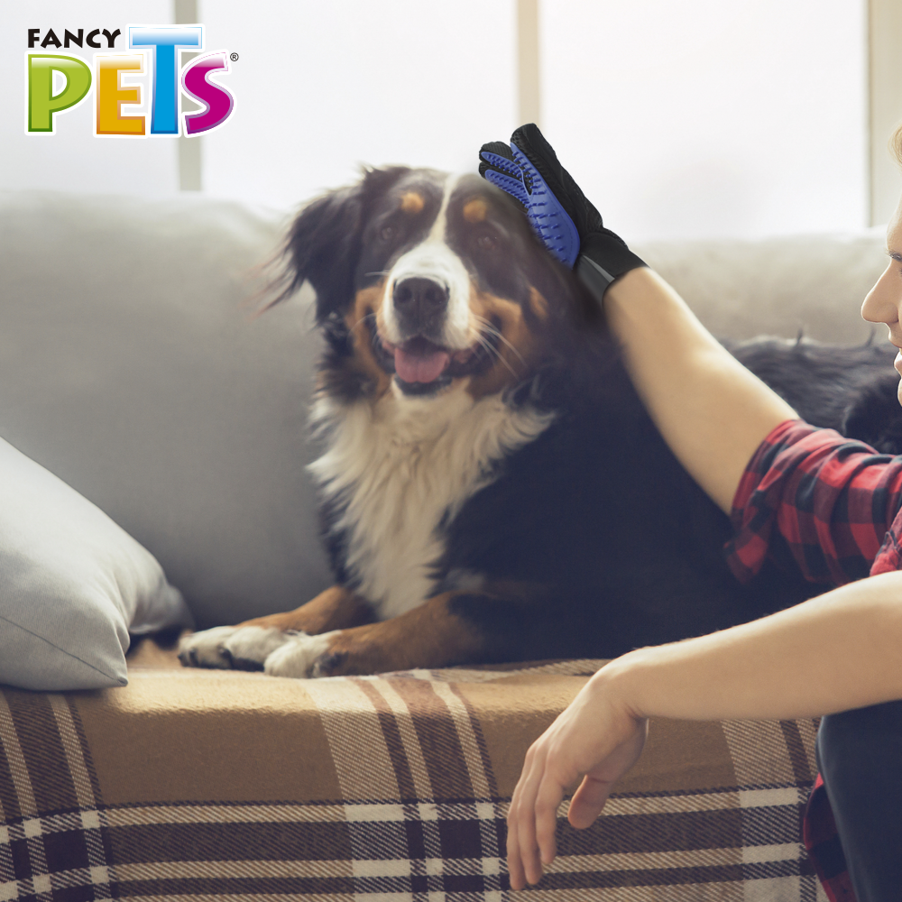 GUANTE 2 EN 1 P/MASCOTAS FANCY PETS – Franz Haus