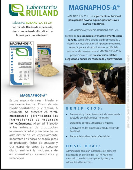 MAGNAPHOS-A RUILAND 25 kg – Franz Haus