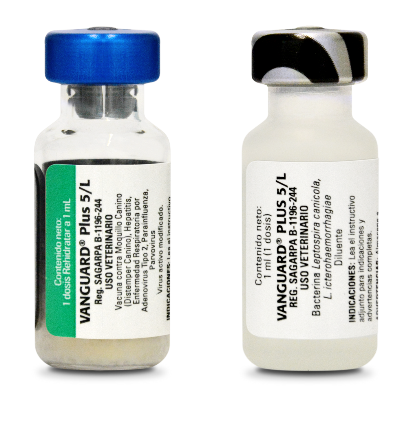 Zoetis Vanguard PLUS 5 – Franz Haus